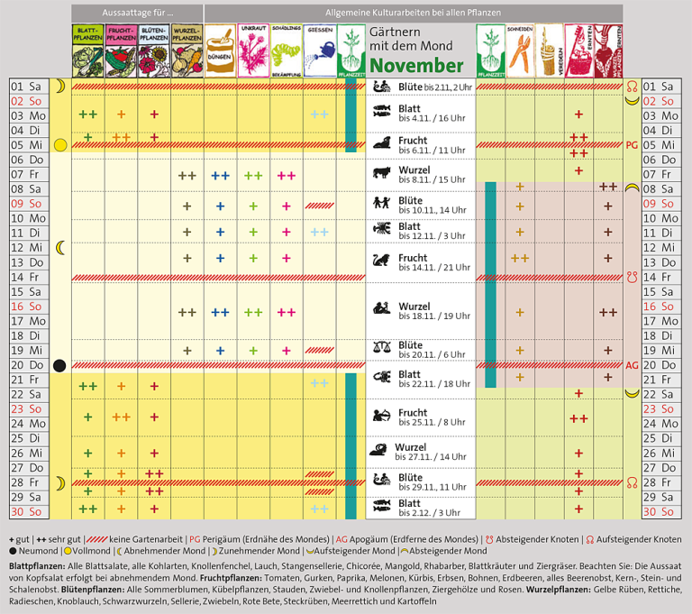 Pflanzen Setzen Mondkalender